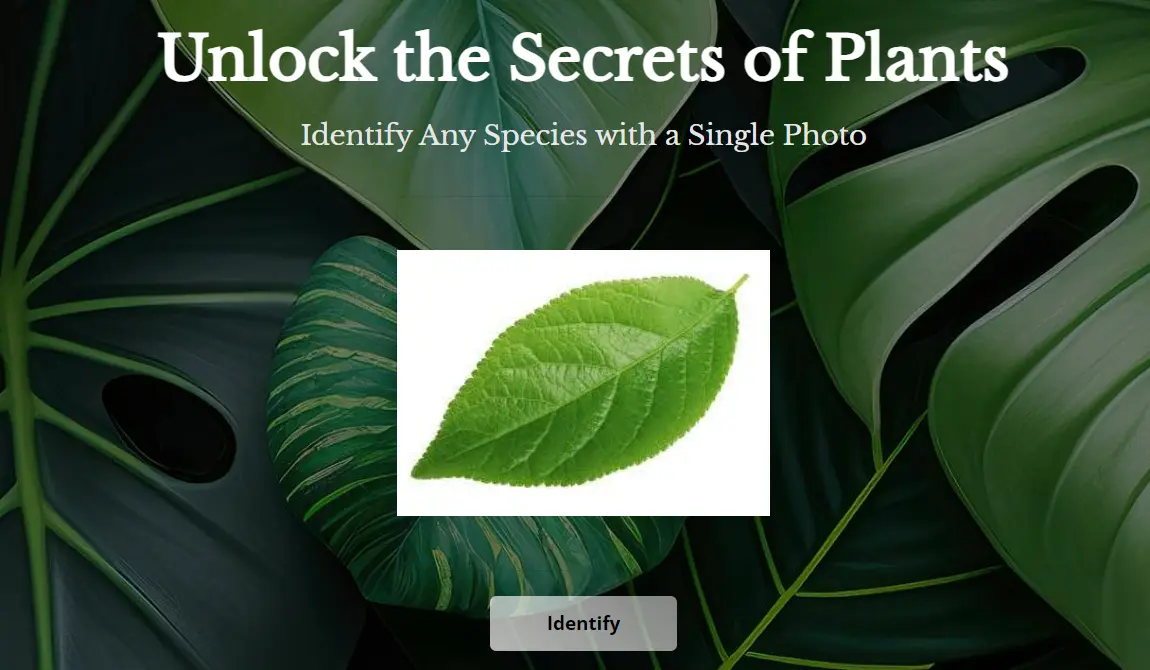 Identify Any Plant From A Photo With AI - Photo Synthesis