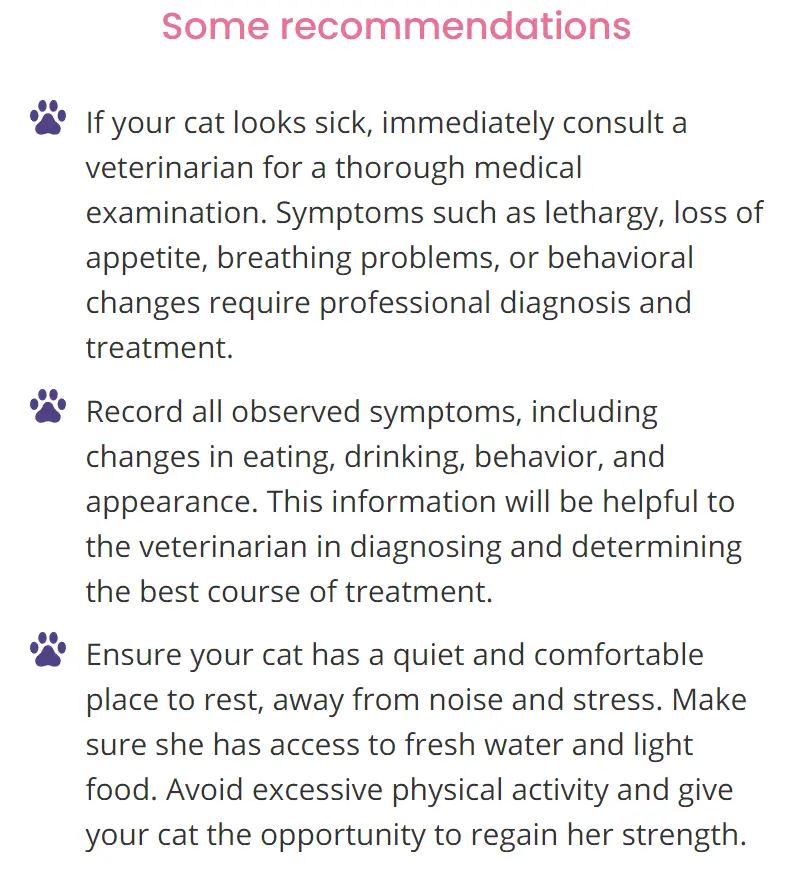 Snap a Pic, Check Your Cat's Health With AI - Catsme