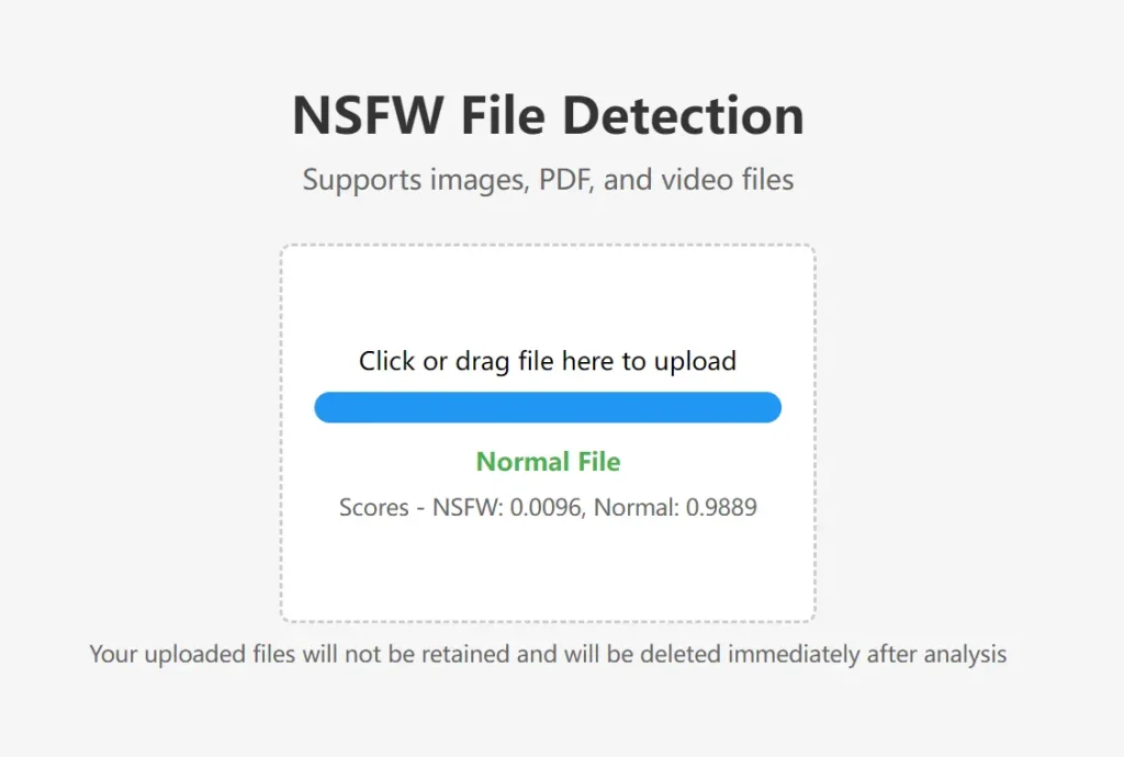 Detect NSFW Content in Images, PDFS, Videos & More - NSFW File Detector