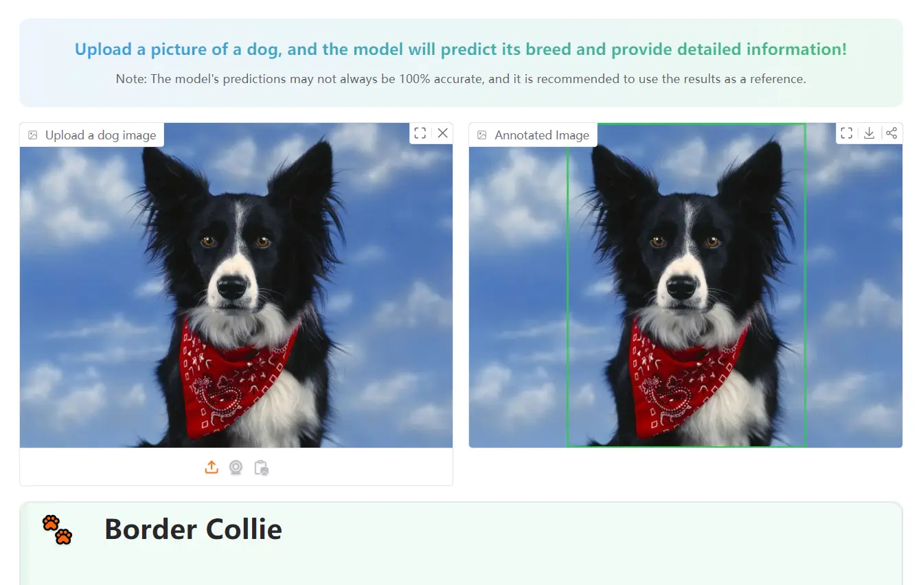 Identify Any Dog Breed with Free AI Tool - PawMatchAI