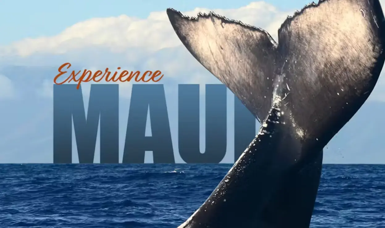 Creates Professional Text-Behind-Image Designs with Free AI